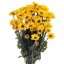 Mini Carnations - Red - Toronto Bulk Flowers | Wholesale Prices | Canada