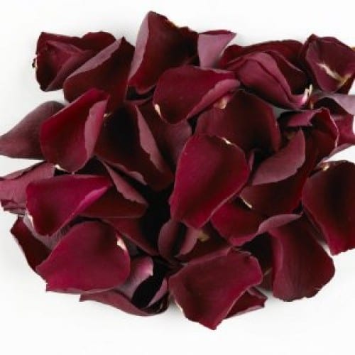 Red Rose Petals from fresh Red roses - Toronto Bulk Flower